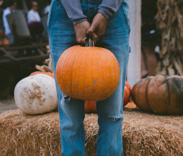 Brown's Harvest Family Farm