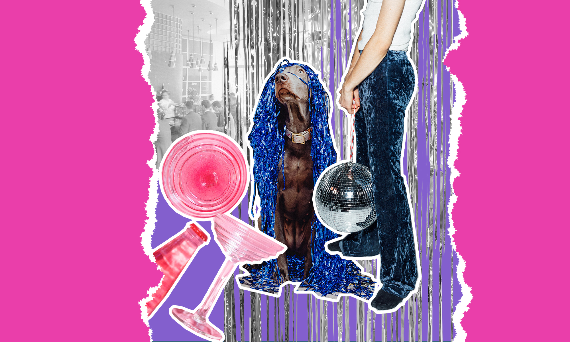 Przewodnik po najlepszych miejscówkach na bifor