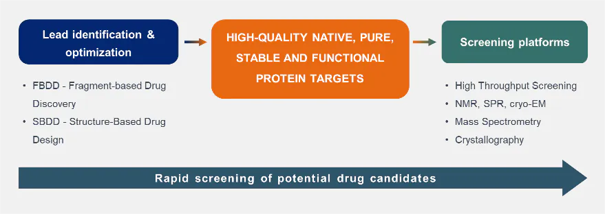 Drug discovery with recombinant proteins | Eurofins Calixar