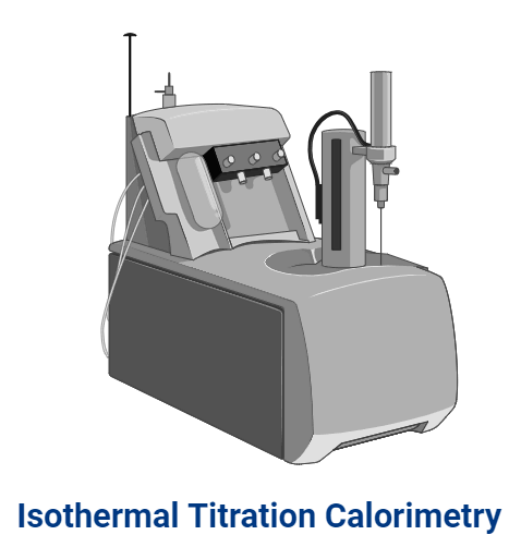 Drug discovery with recombinant proteins | Eurofins Calixar