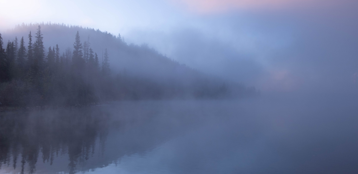 Improving cost visibility in your supply chain