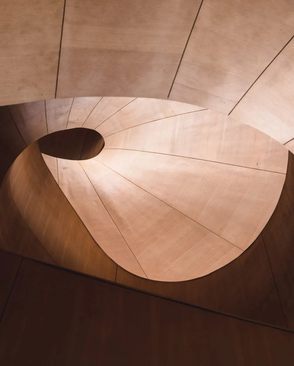 Alphi Capital | Home