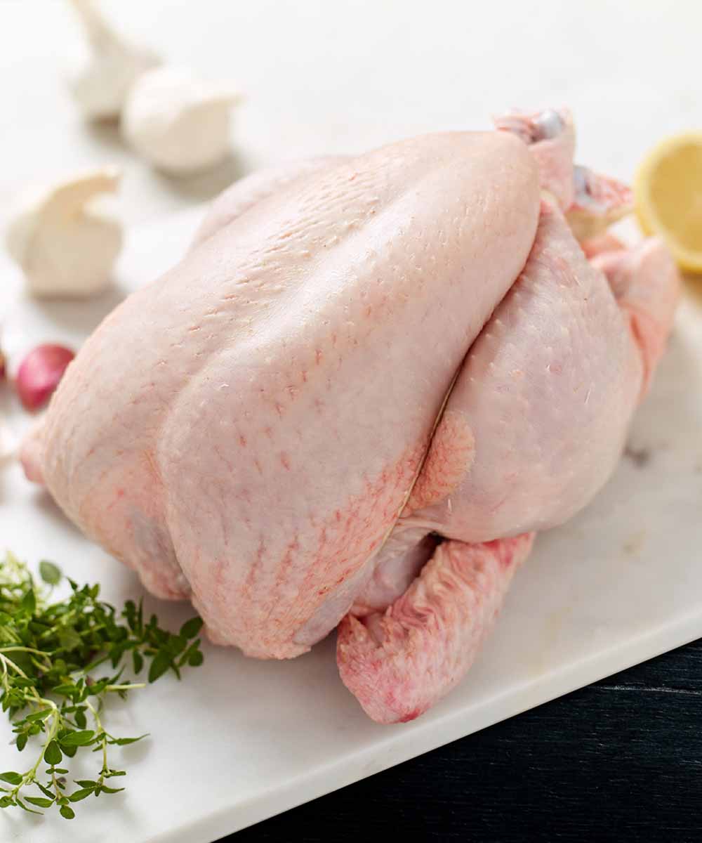 Ayam karkas (PKK) | Ayam | justbuy.id