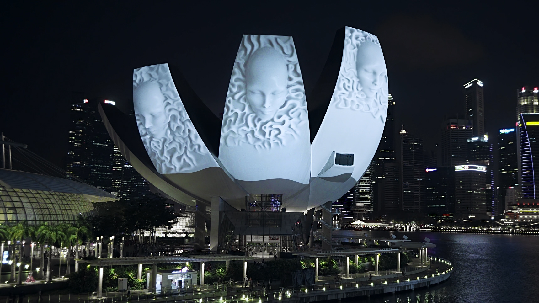 Evergreen: Projection Design at ArtScience Museum in Singapore