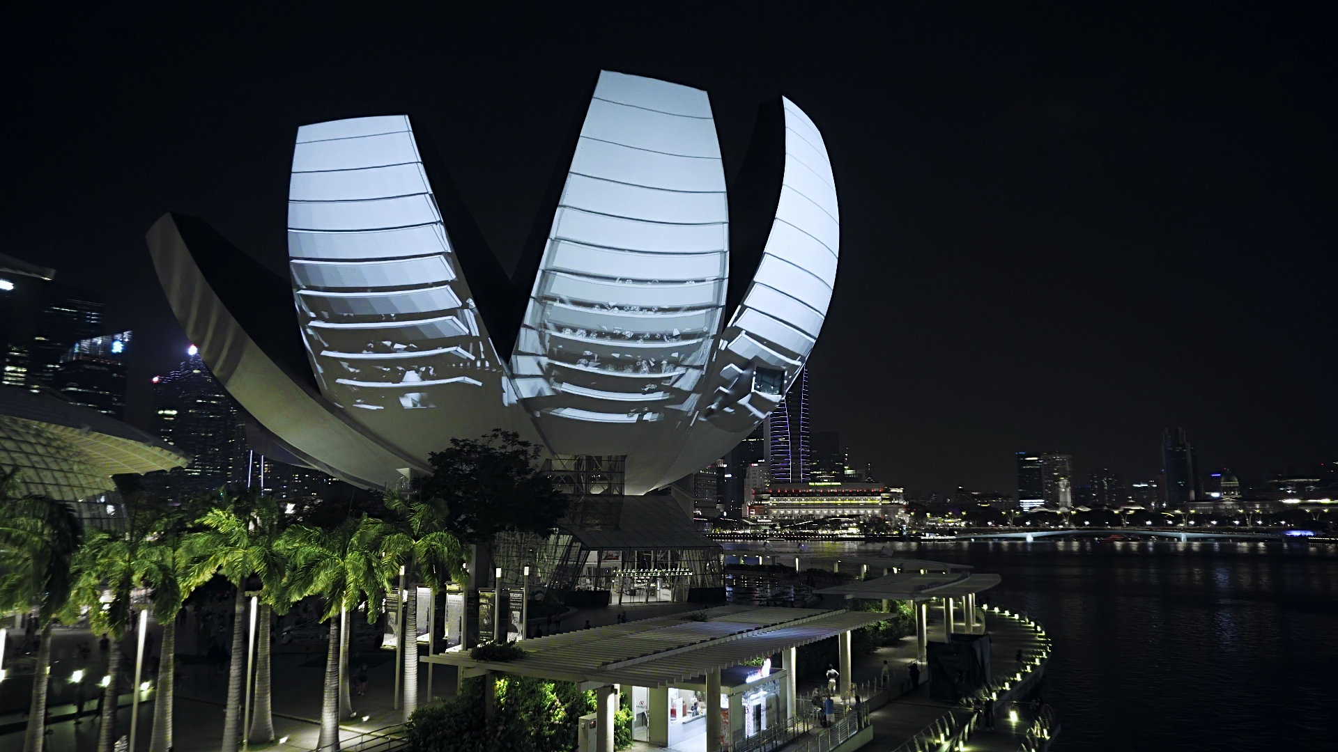 Evergreen: Projection Design at ArtScience Museum in Singapore