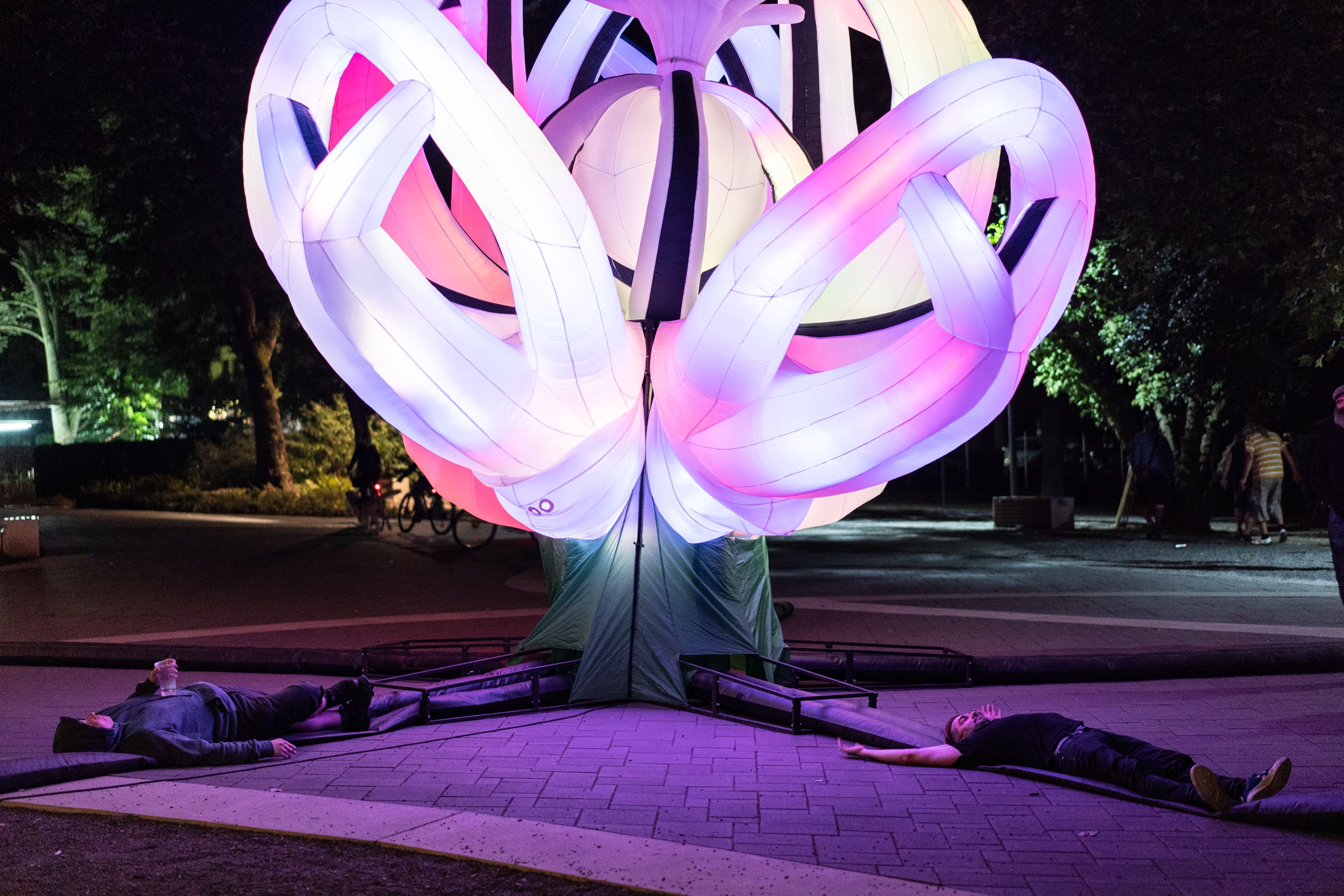 Rescape: A Journey into the Magical World of Light Art