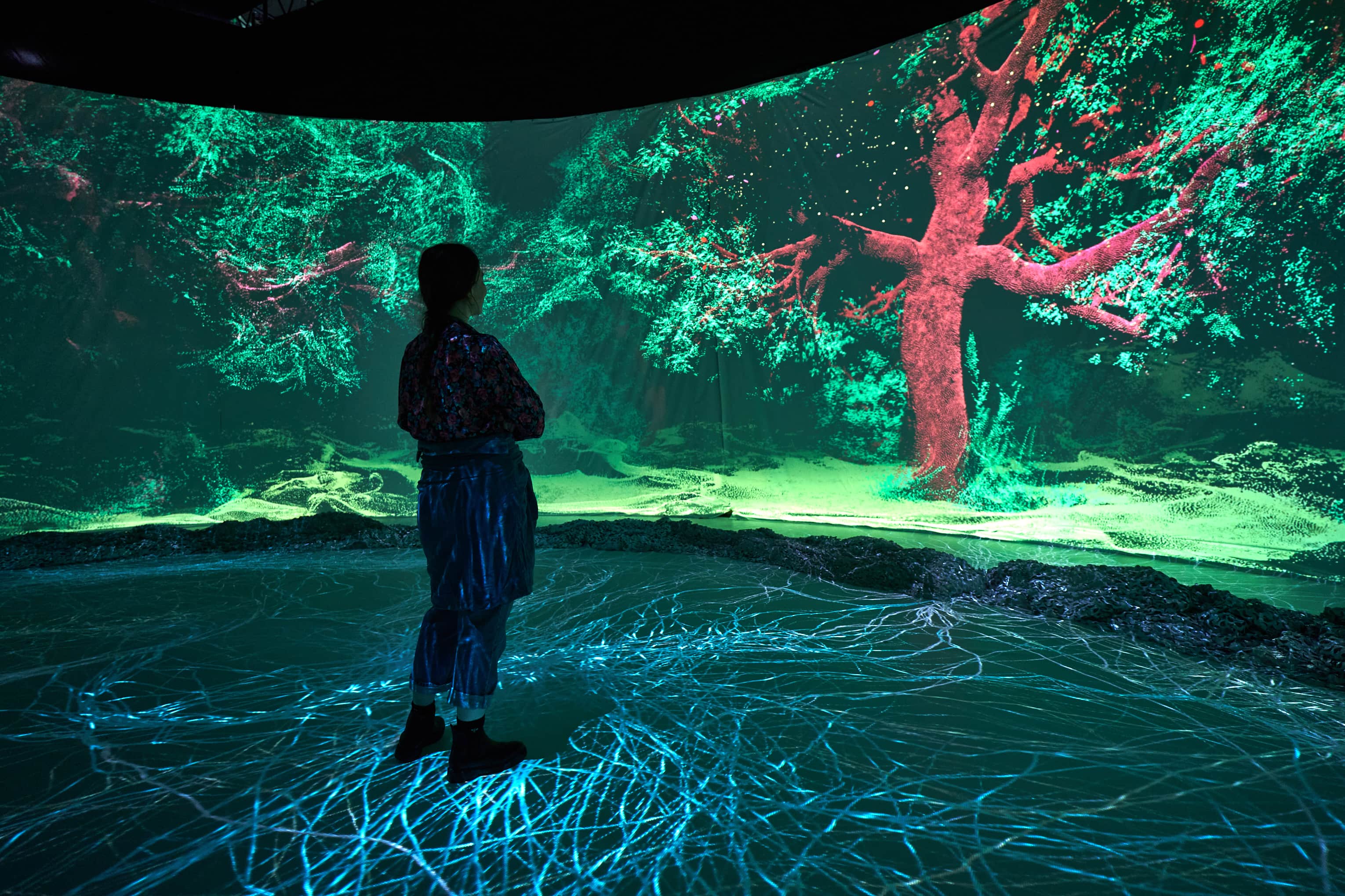 Circle of Life: An Immersive 3D Projection Mapping Journey of Nature's ...