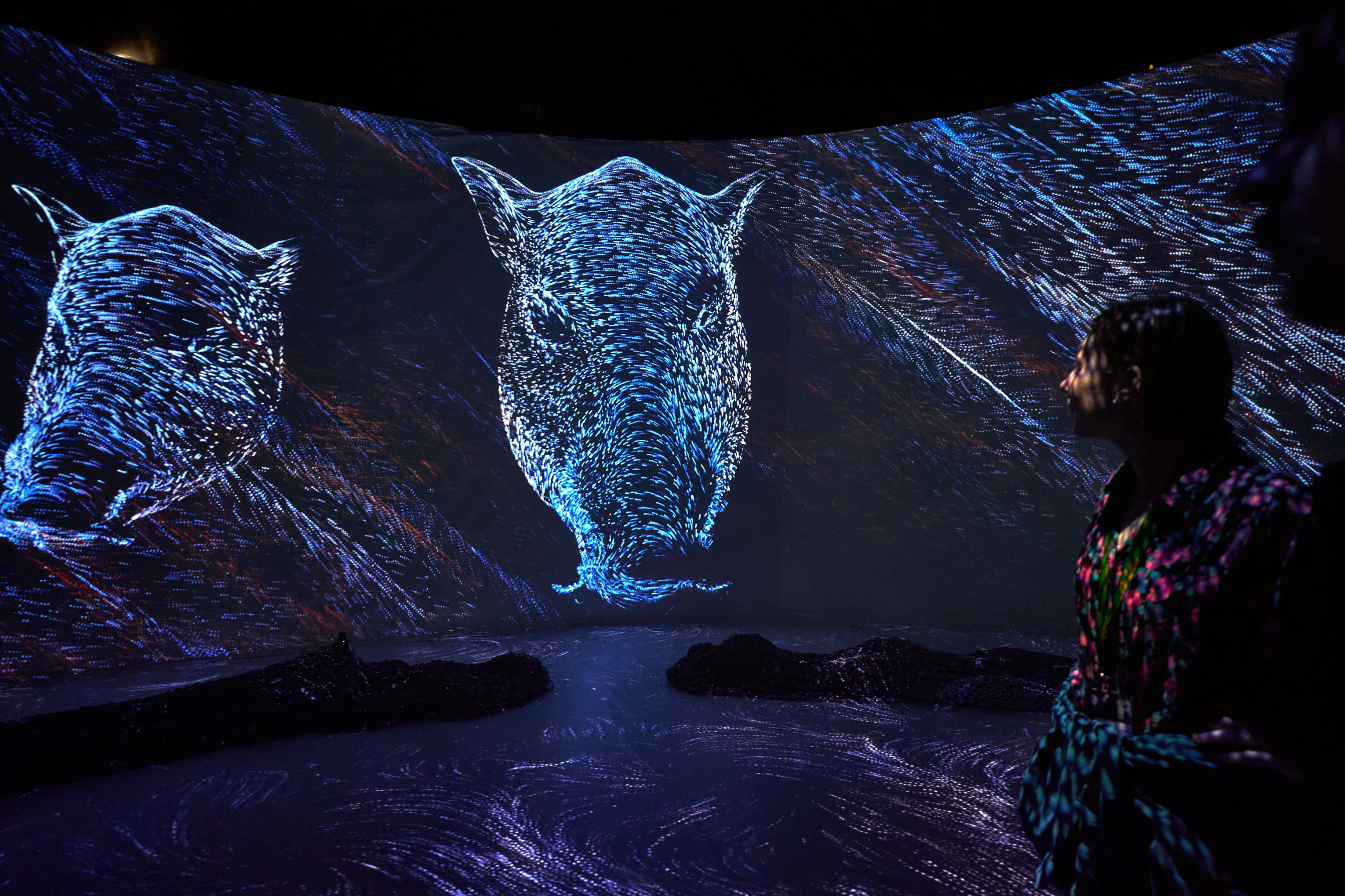Circle of Life: An Immersive 3D Projection Mapping Journey of Nature's ...