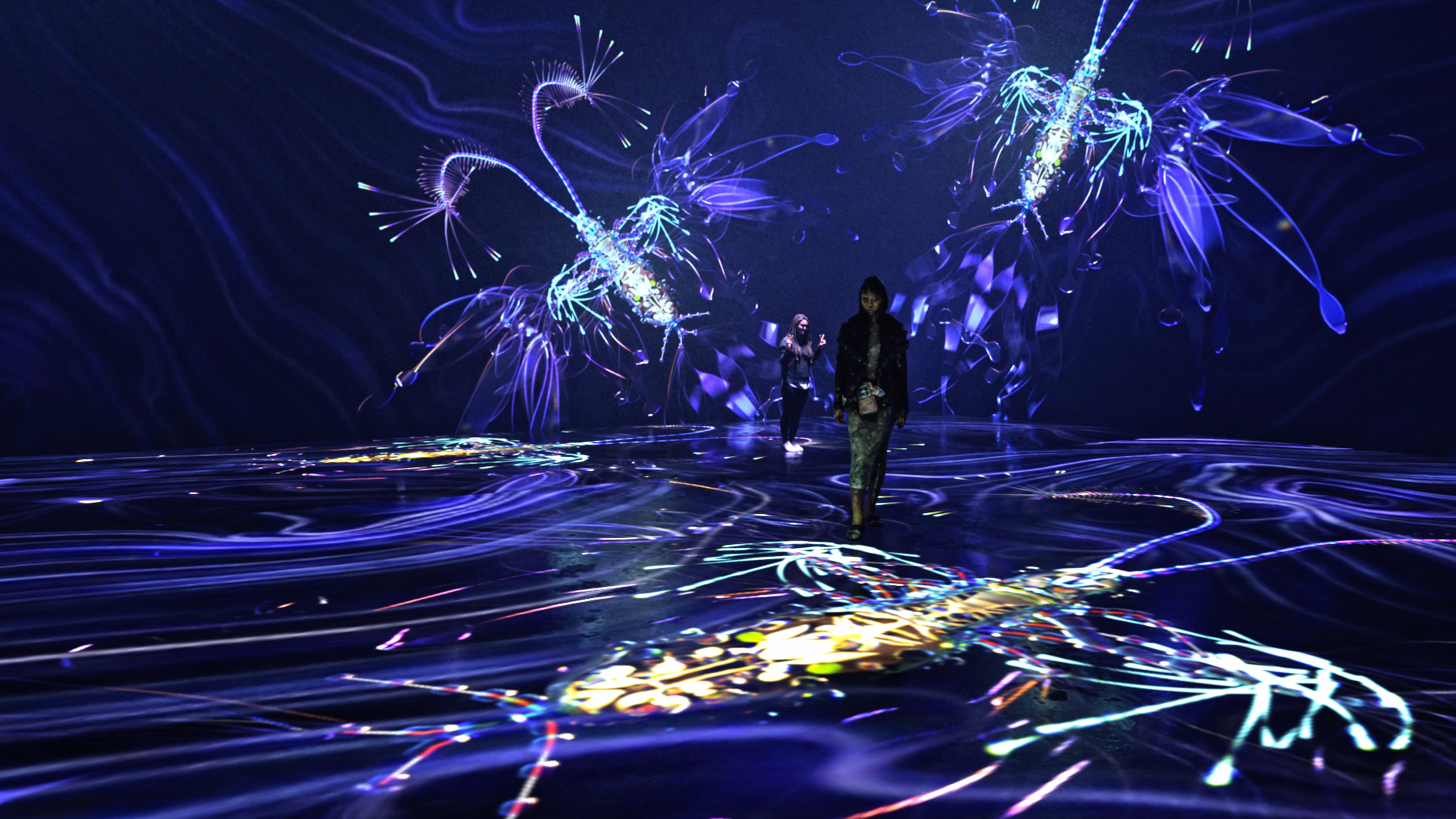 Entropy: An Immersive Visual Journey of Light Art and Nature's Wonders