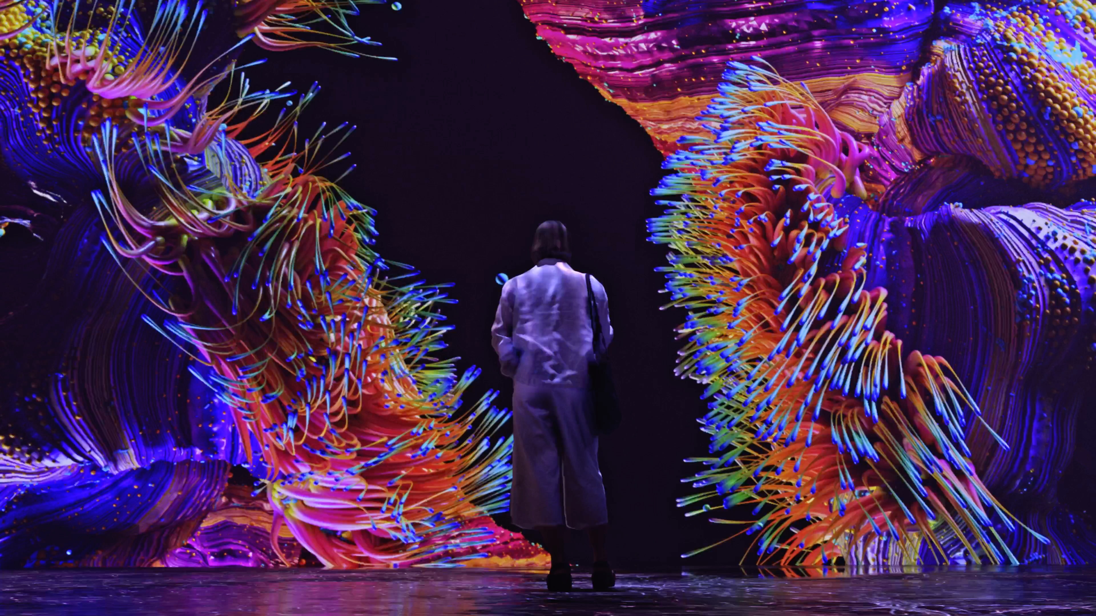 Entropy: An Immersive Visual Journey of Light Art and Nature's Wonders