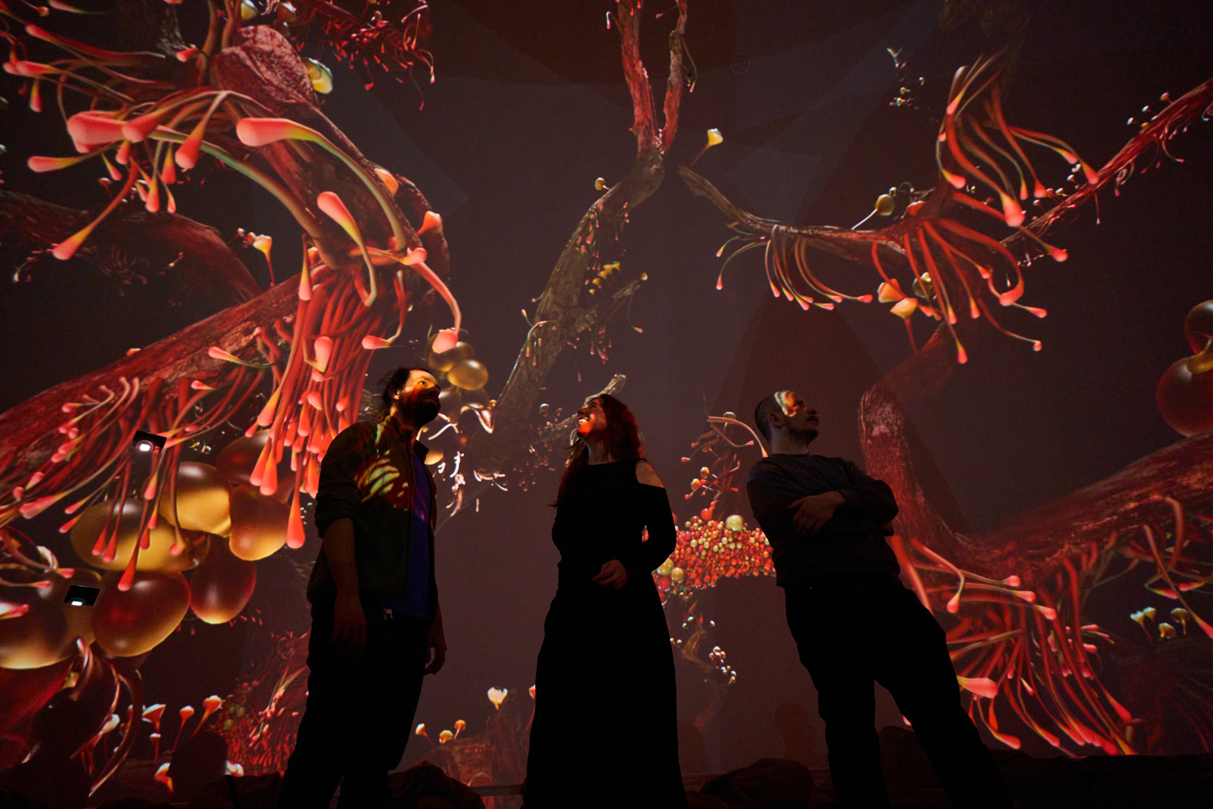 Discover Entropy: A Versatile & Immersive Dome Experience for Light Art ...