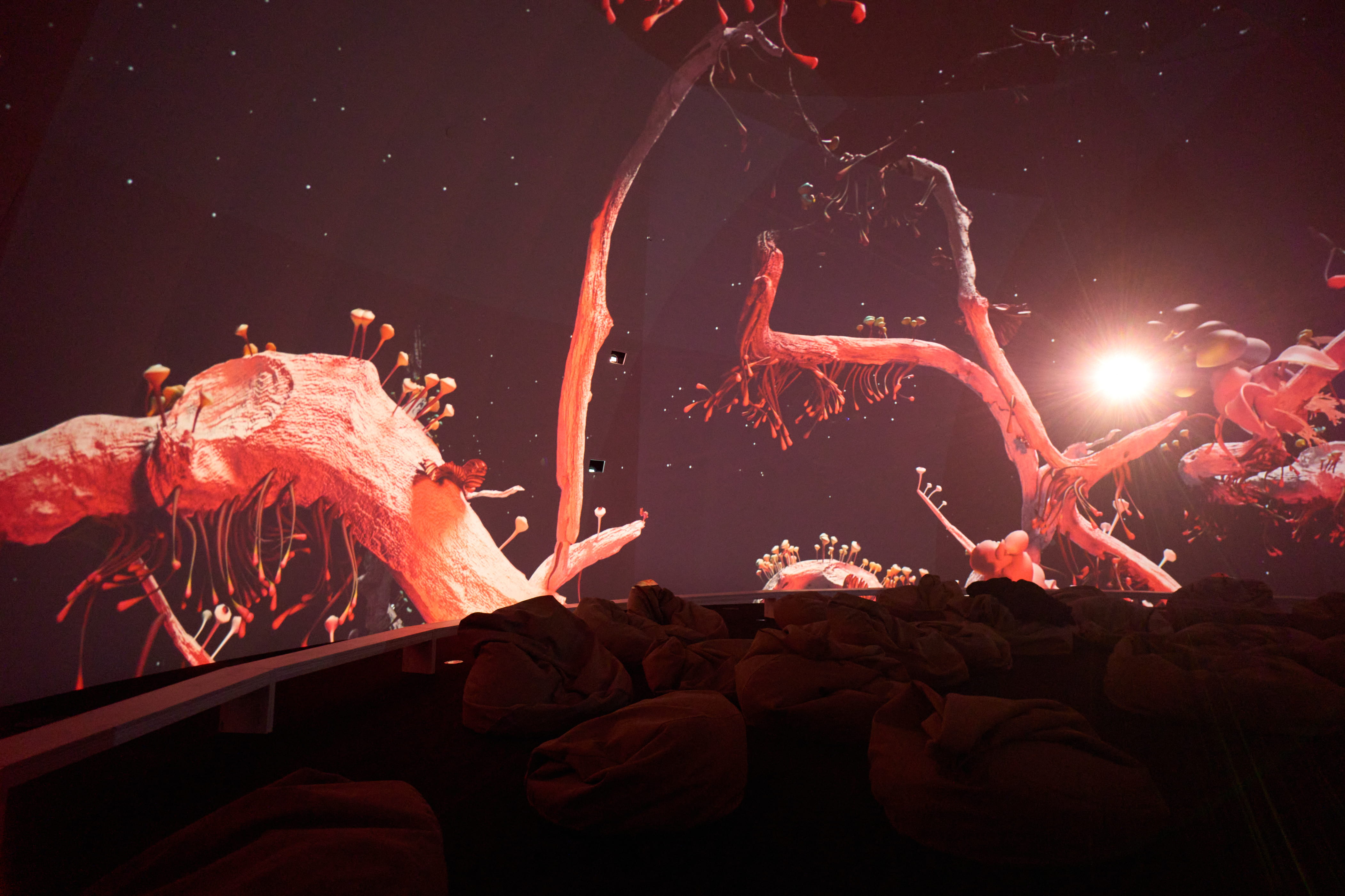 Discover Entropy: A Versatile & Immersive Dome Experience for Light Art ...