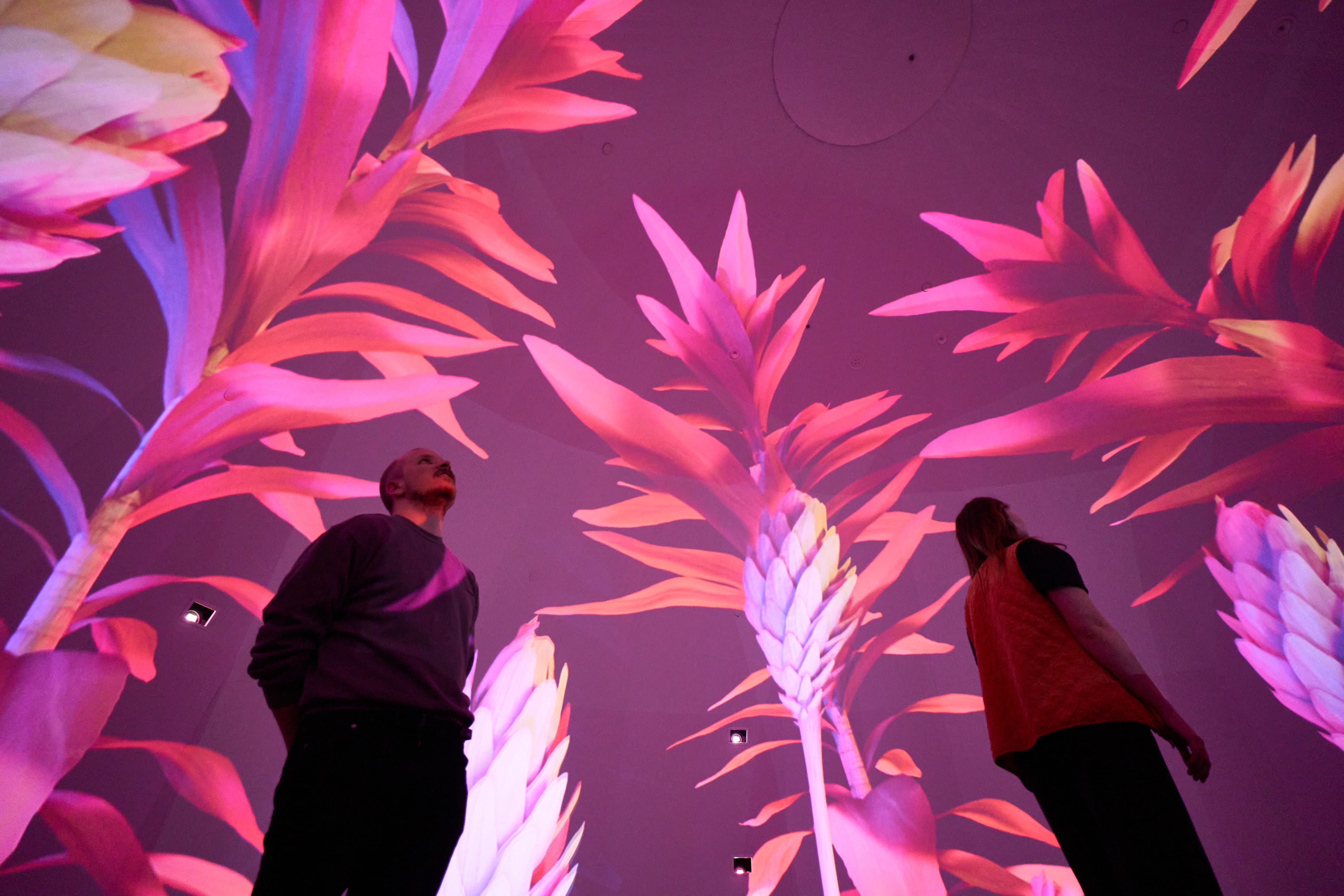 Discover Entropy: A Versatile & Immersive Dome Experience for Light Art ...