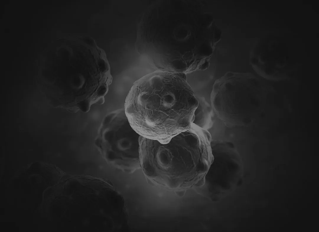 Forelimb Analysis in Mice with XPERT 80-L Cabinet X-ray System | KUBTEC ...