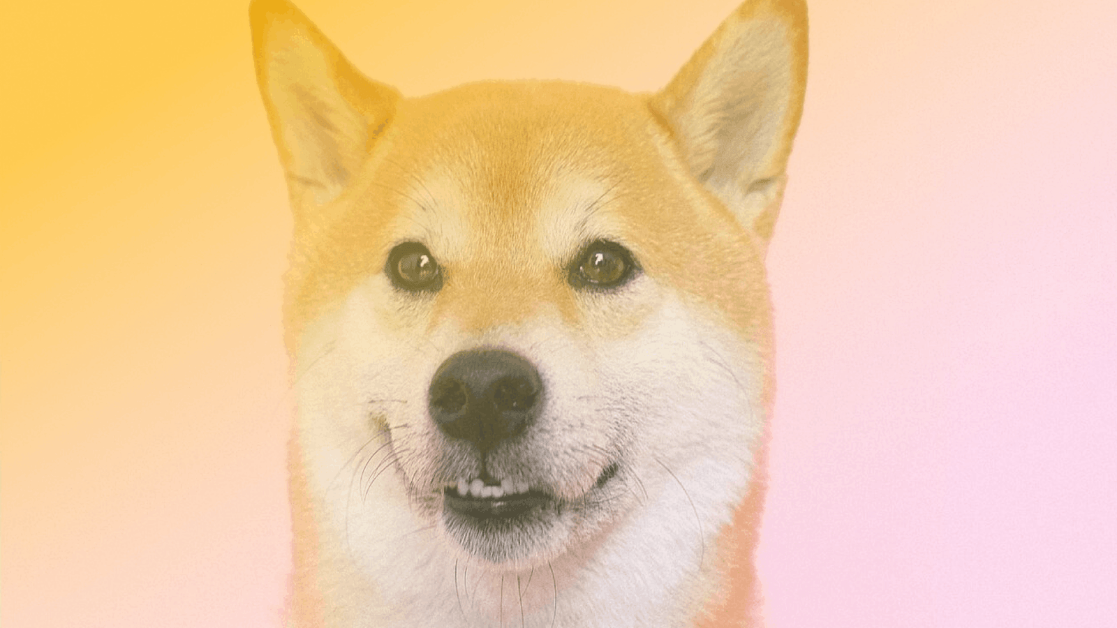 What is Shiba Inu (SHIB) Coin and is it a Good Investment?