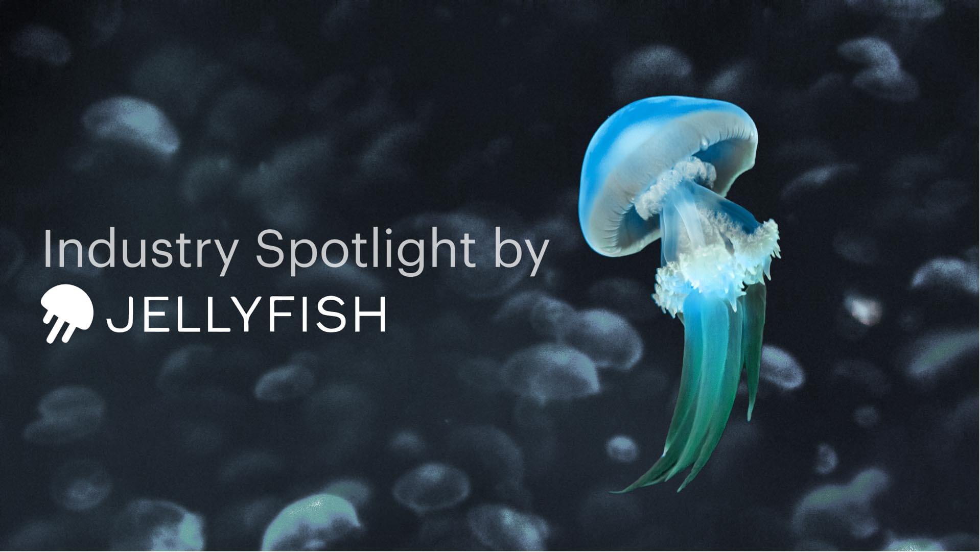 The Software R&D Capitalization Paradigm is Changing