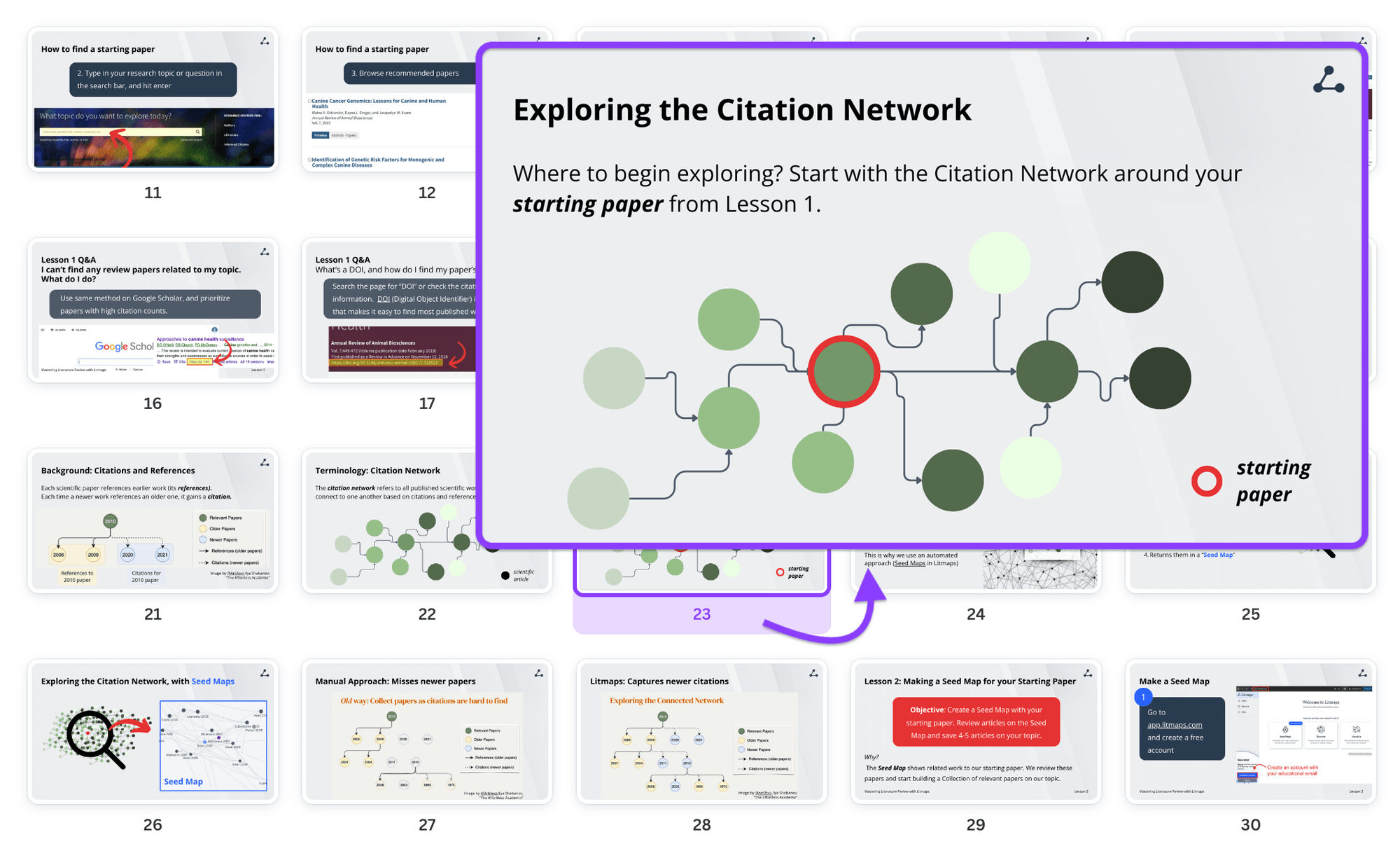 Litmaps | Your Literature Review Assistant