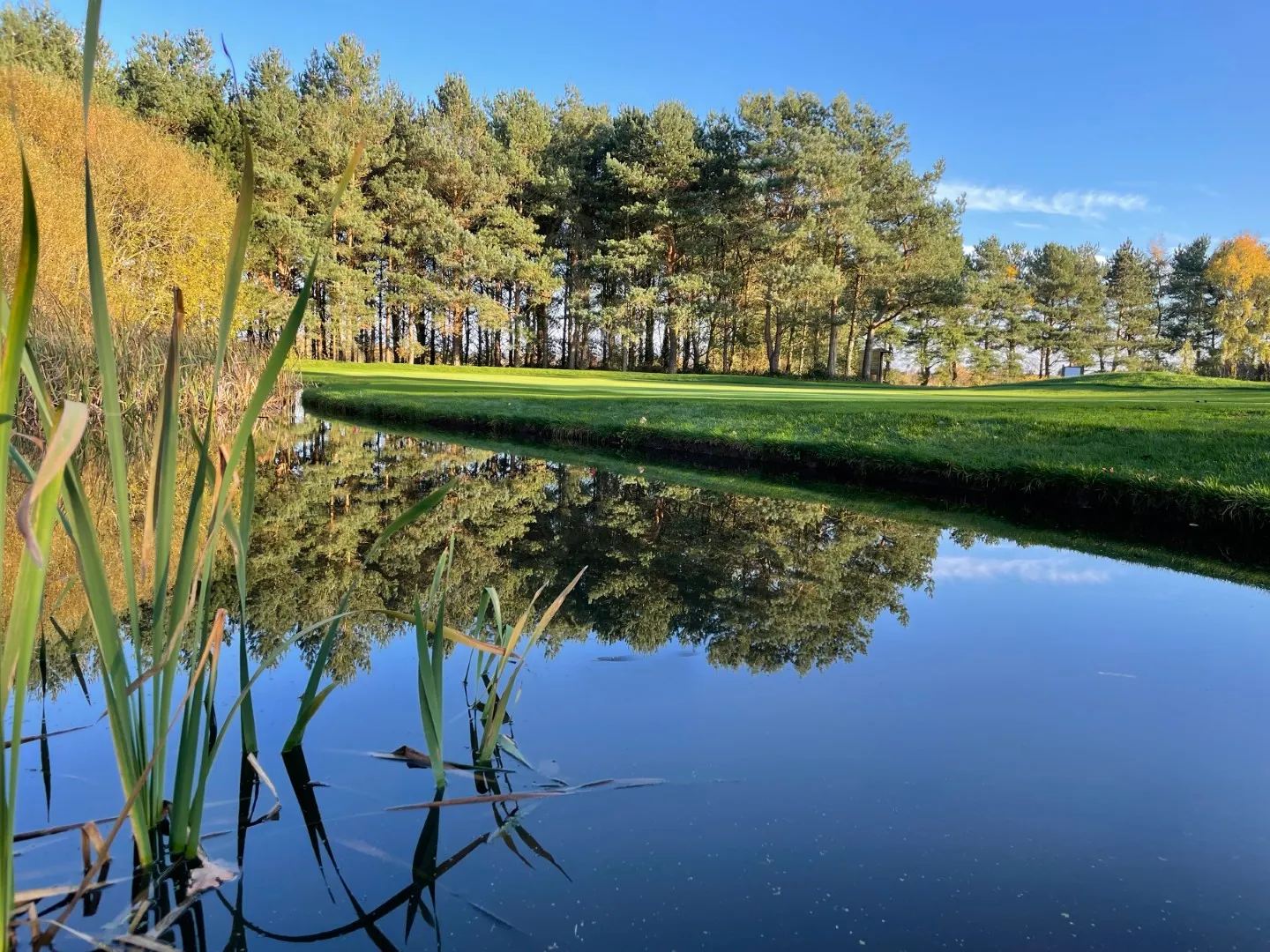 Golf Club - The Mount Golf