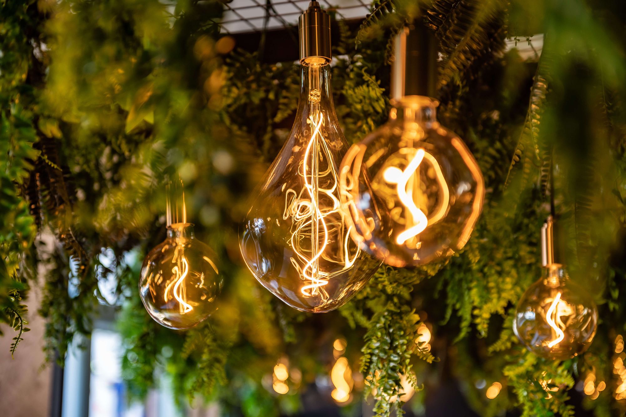 Damson & Wilde | Food & Drink