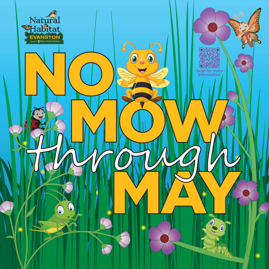 No Mow May