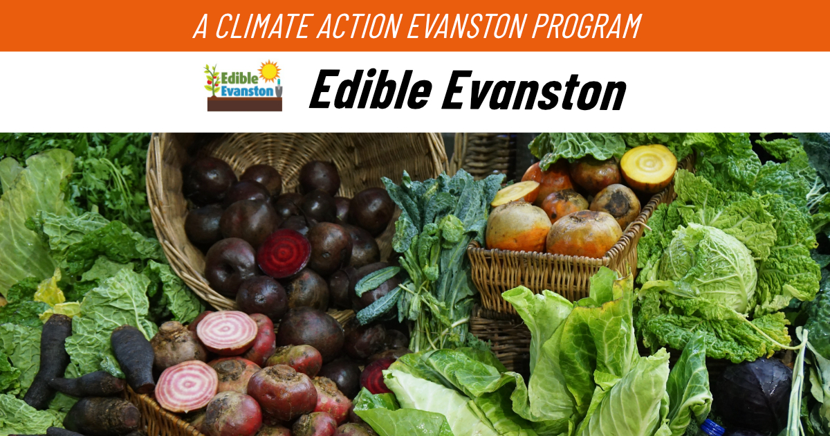 Demonstration Food Forest