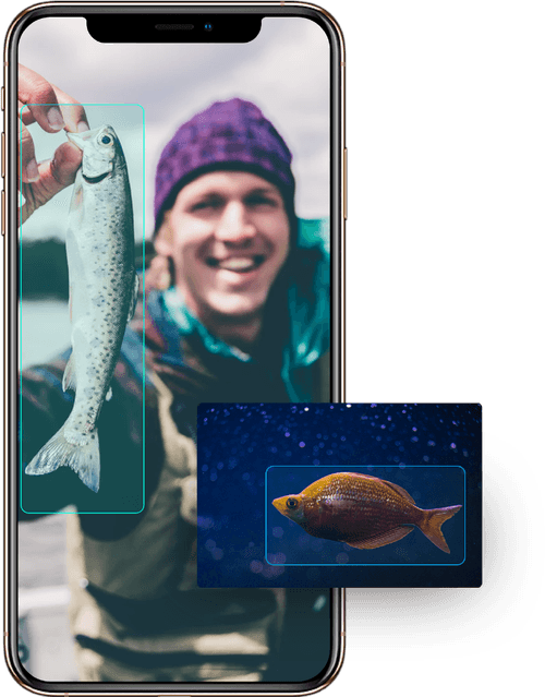 Fishial.AI | Fish Identification for Everyone!