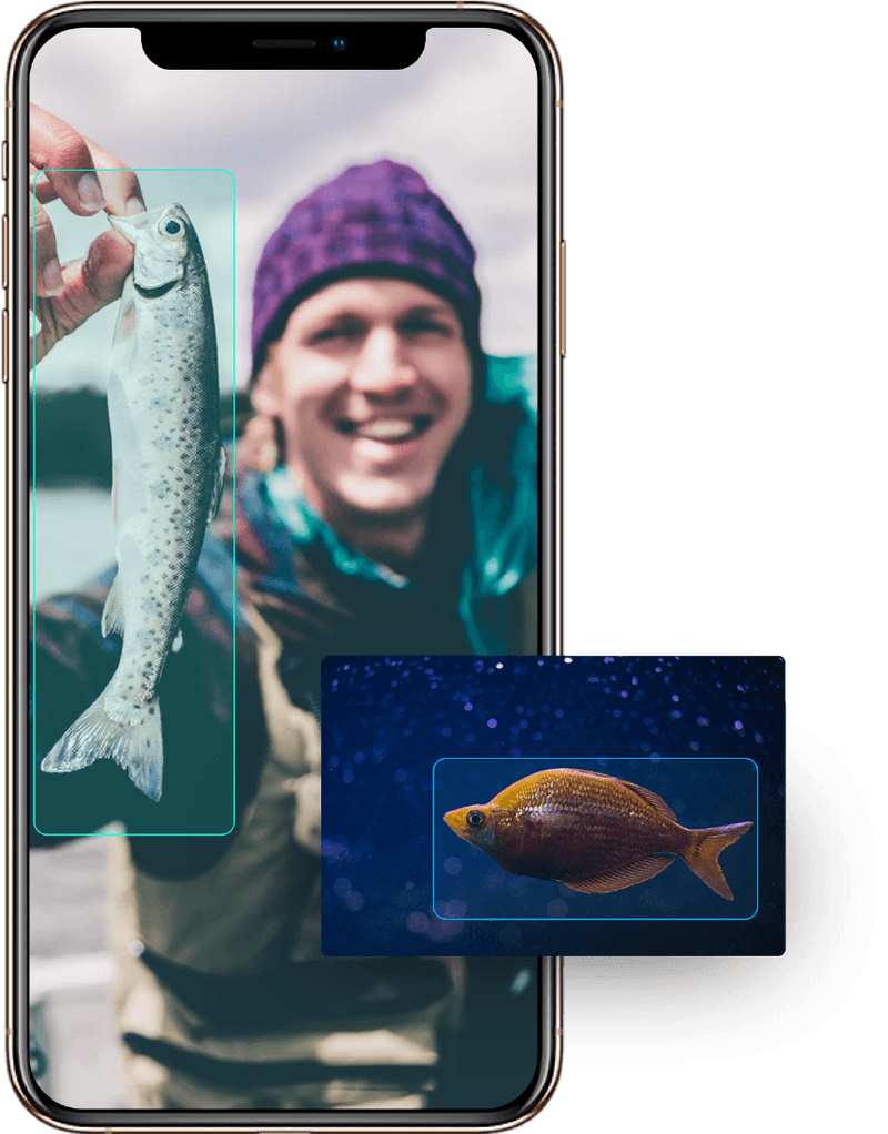 Fishial.AI | Fish Identification for Everyone!