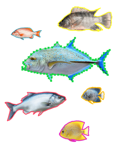 Fishial.AI | Fish Identification for Everyone!