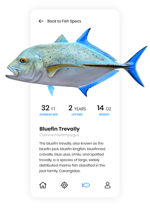 Fishial.AI | Fish Identification for Everyone!