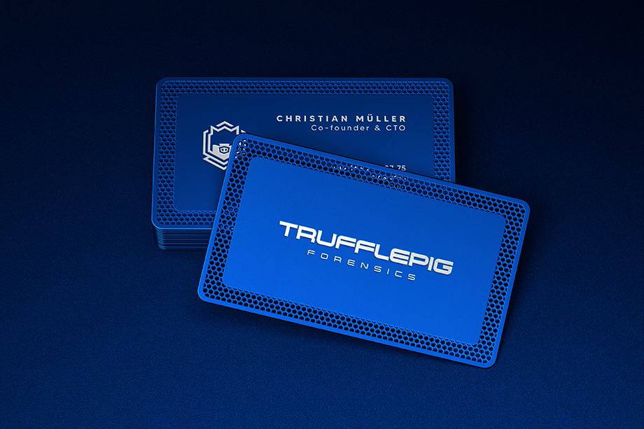Trufflepig Forensics - CREATIVE DIRECTORS GmbH - WERBEAGENTUR München
