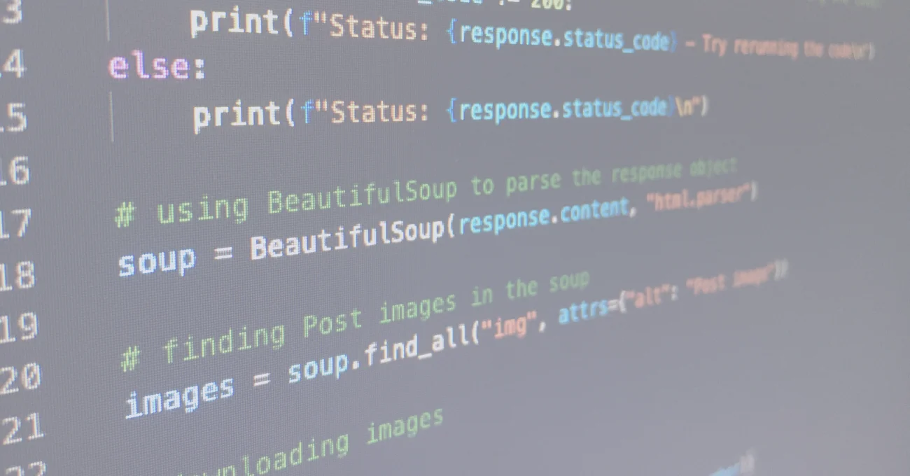 9+ Best Python Development Companies & Services For 2024