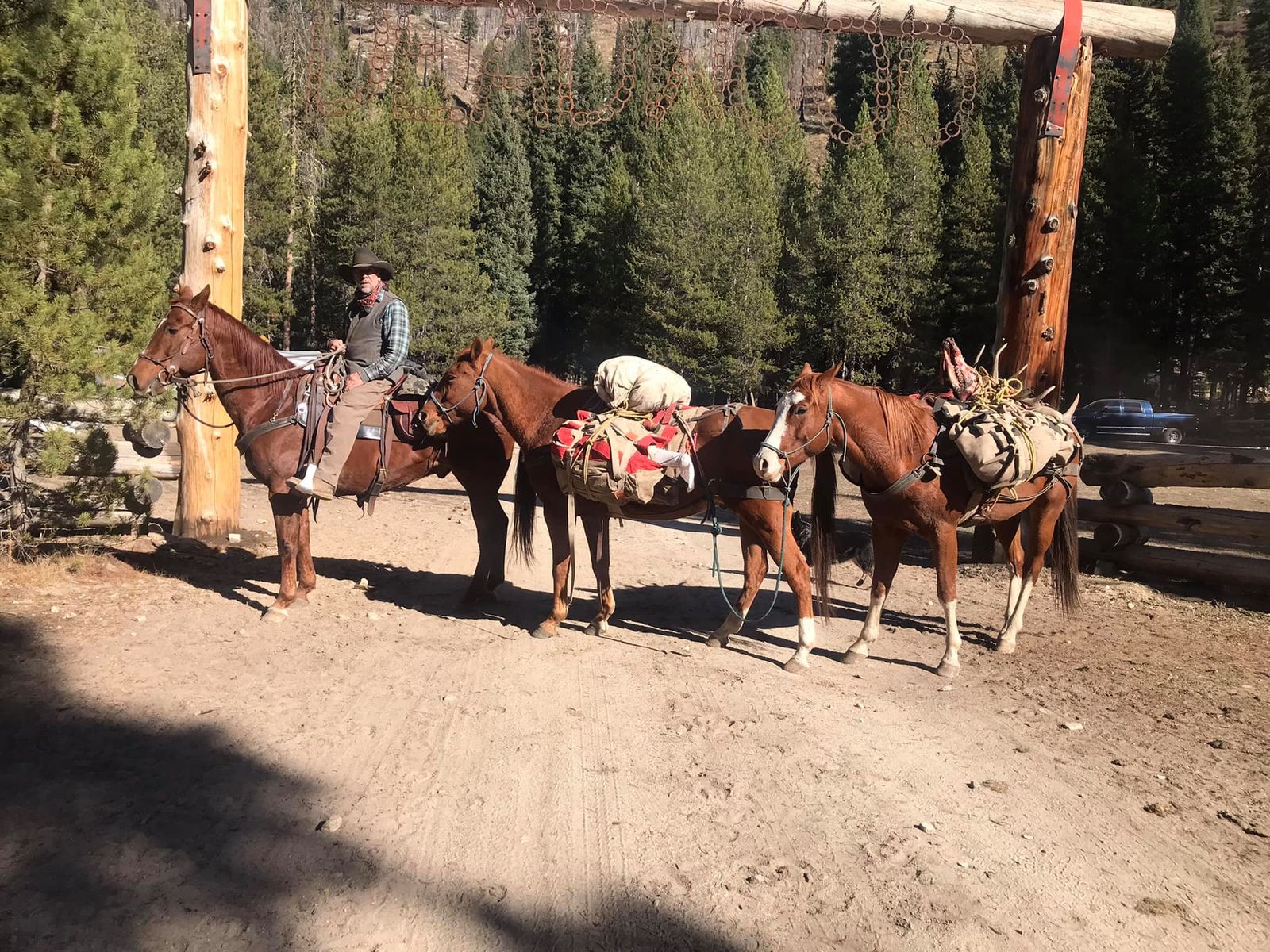 Idaho Elk Hunting, Idaho Hunting Outfitters & Idaho Hunting Guides ...