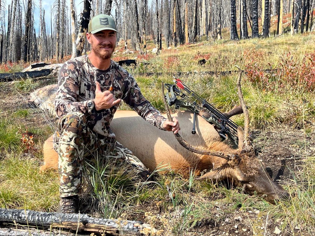 Idaho Wolf Hunting with Idaho Hunting Guides on Idaho Wolf Hunts