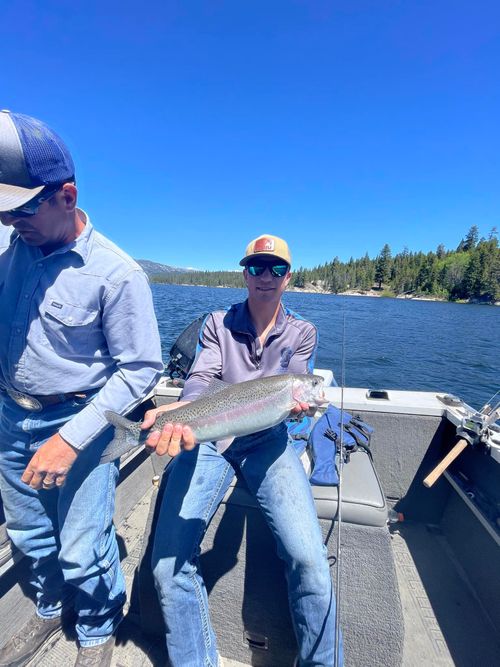 Idaho Wolf Hunting with Idaho Hunting Guides on Idaho Wolf Hunts