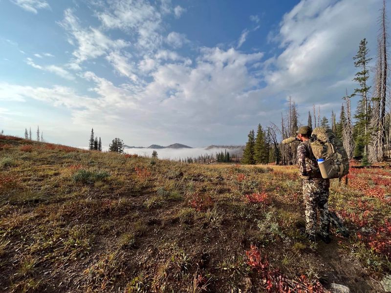 Idaho Wolf Hunting with Idaho Hunting Guides on Idaho Wolf Hunts