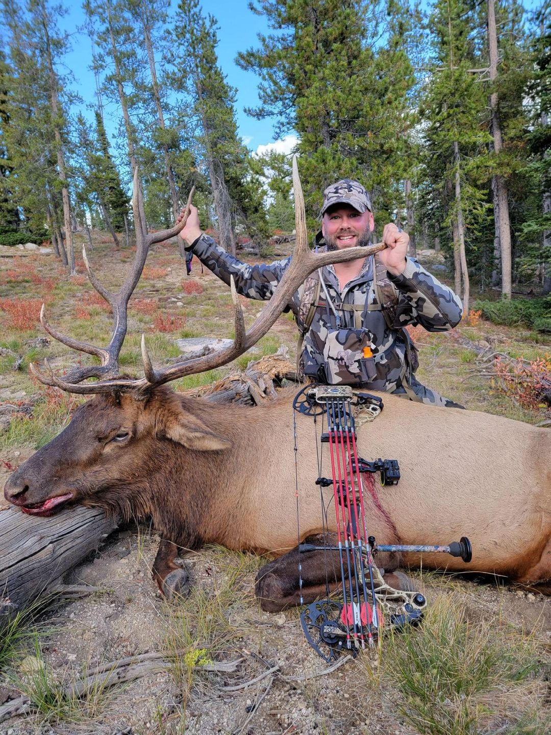 Idaho Elk Hunting, Idaho Hunting Outfitters & Idaho Hunting Guides ...