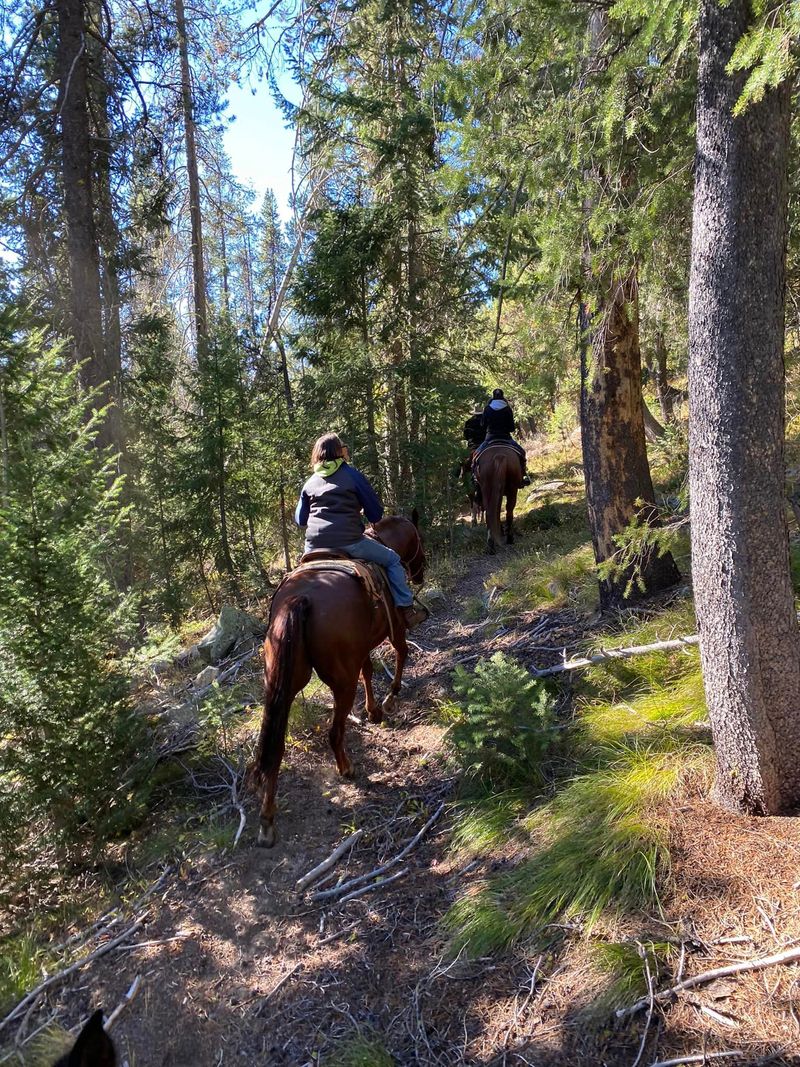 Idaho Wolf Hunting with Idaho Hunting Guides on Idaho Wolf Hunts