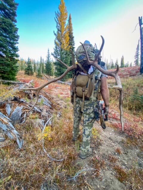 Idaho Elk Hunting, Idaho Hunting Outfitters & Idaho Hunting Guides ...