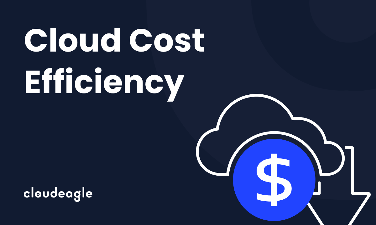 Cloud Cost Efficiency: 5 Ingenious Tactics to Optimize Cloud Costs ...
