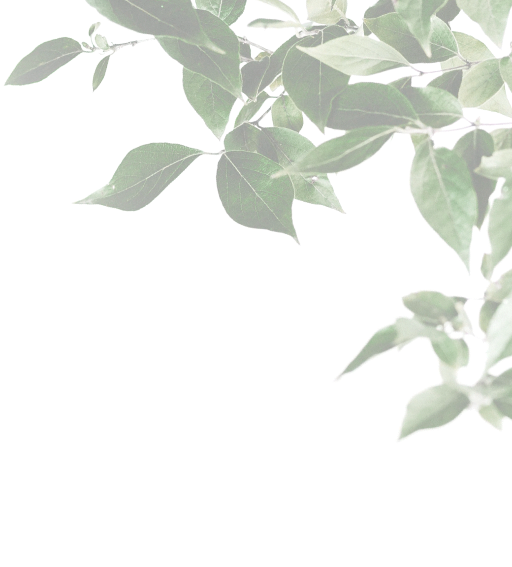 Therapy Services | Melissa Bennett-Heinz