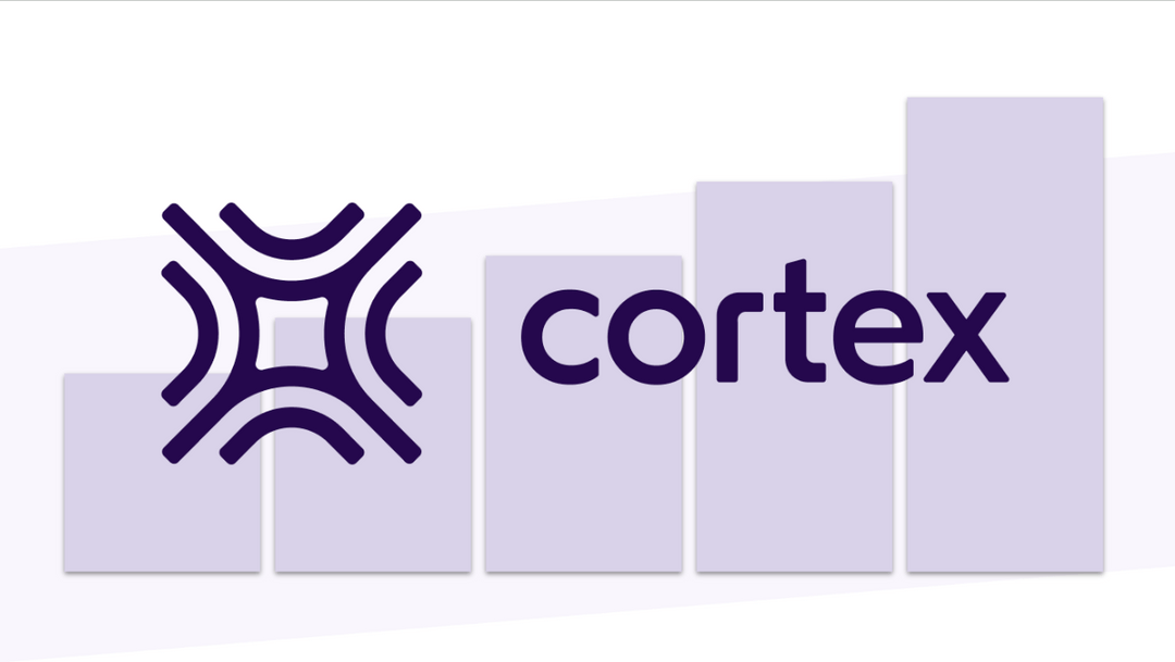 Starting with the Right Foundations - The Cortex Engineering Maturity ...