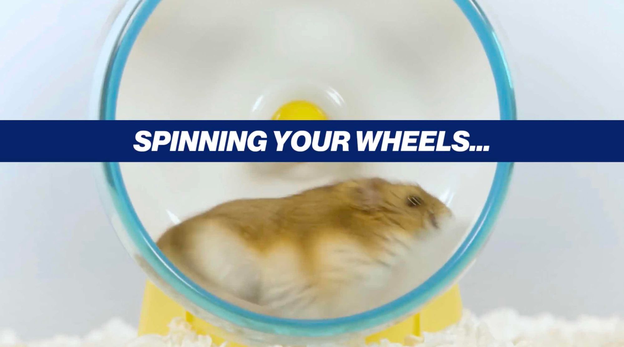 Waymark, AI Video Creator