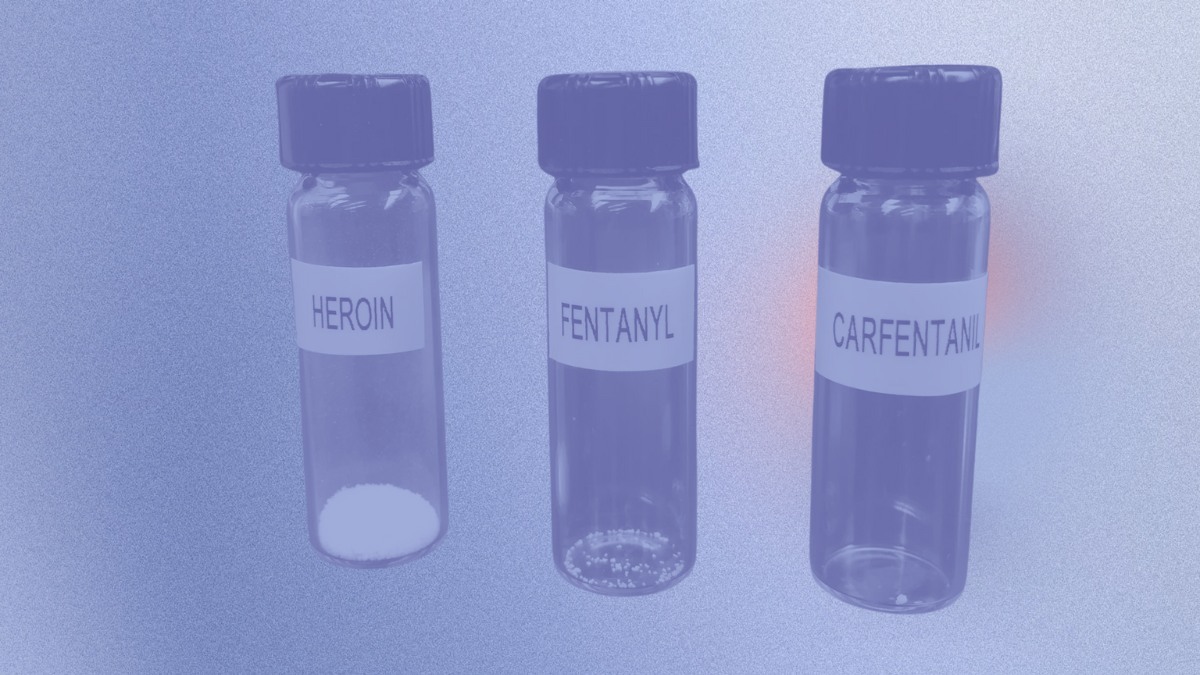 What is Carfentanil? | Carfentanil vs. Fentanyl