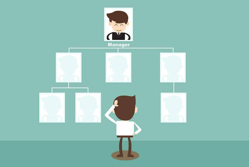 CompanySights | 10 Organizational Structure Questions to Ask Before ...