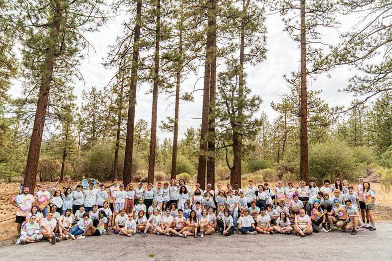 Avocado is transforming core values into climate action | 1% for the ...