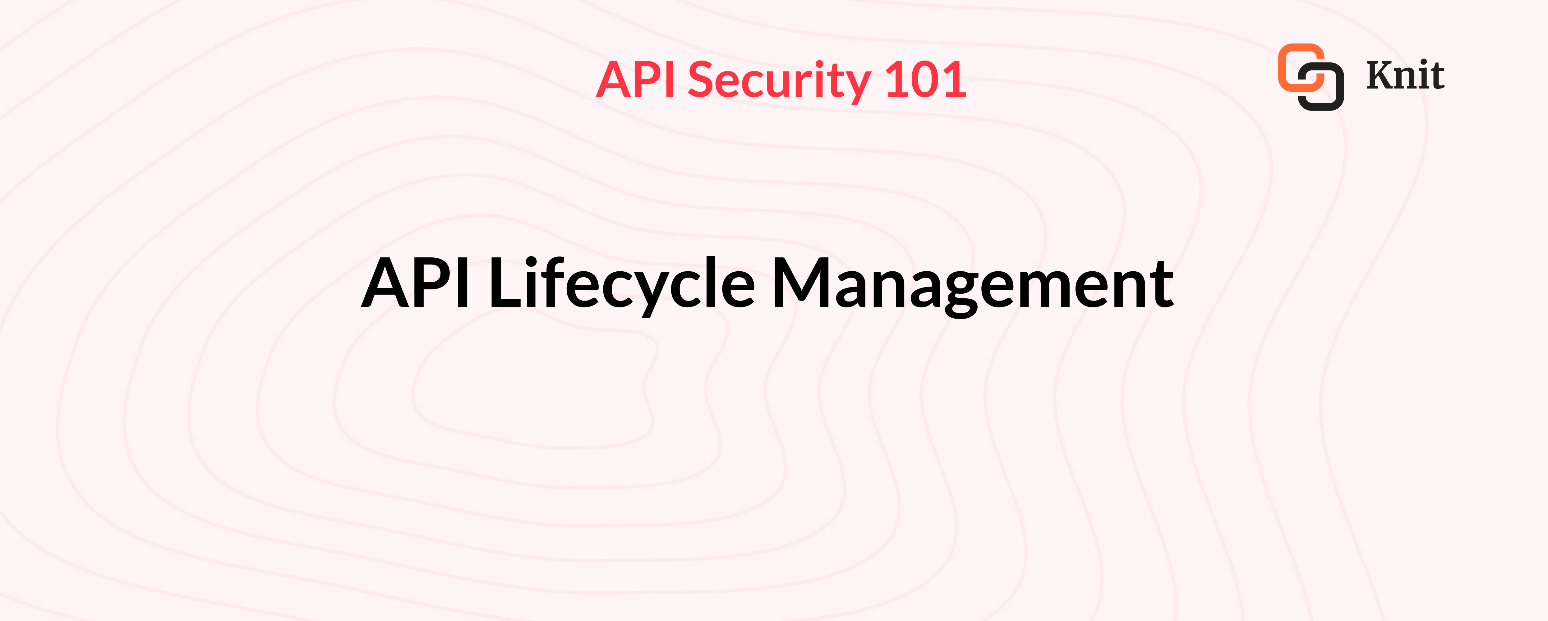 Quick Guide to API Lifecycle Management and Decommissioning