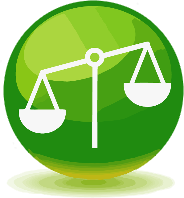 Argumentation Writing | Jane Schaffer Writing Program®