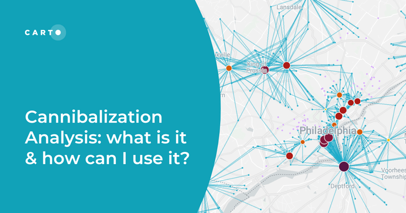Cannibalization Analysis: what is it & how can I use it?