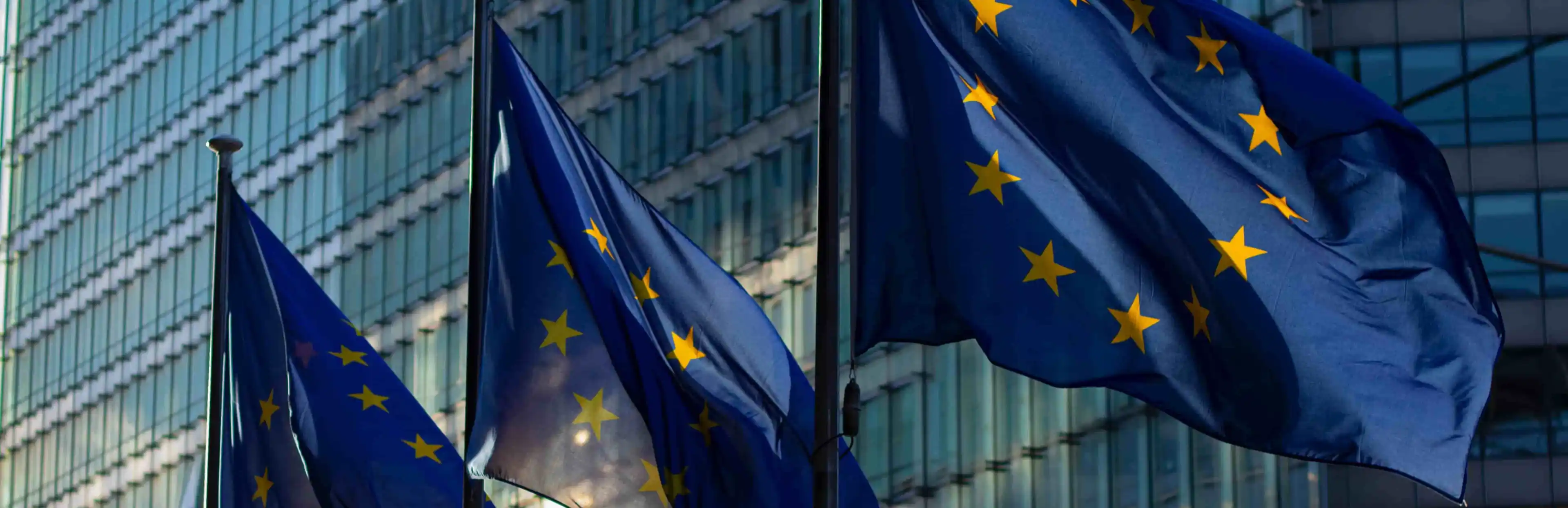 The Rise of Gatekeepers and the Impact of EU's DMA