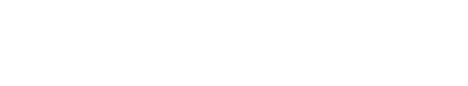 Sticks & Bricks Development